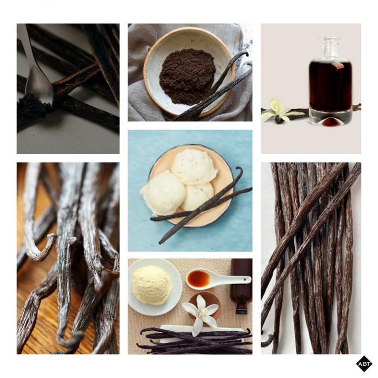 The Magic of Medicinal Vanilla – Advanced Biotech
