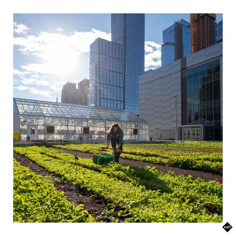 The Importance of Urban Farming – Advanced Biotech